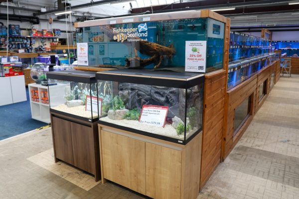 Fishkeeper Scotland – Mackinnon Mills